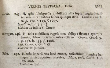 Captain Cook and Partula snails | ZSL