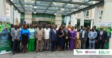 Community-led Climate Action in the Western Congo Basin Landscape | The ...