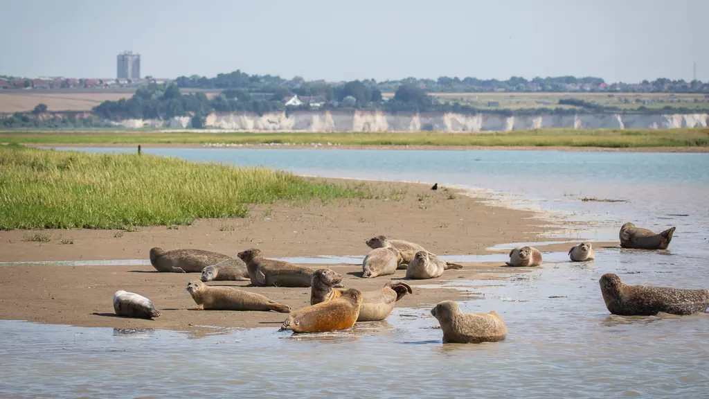 Spotlight on Nature – COP season begins | ZSL