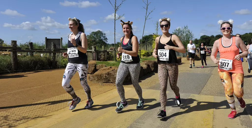 Fundraising for wildlife conservation | ZSL