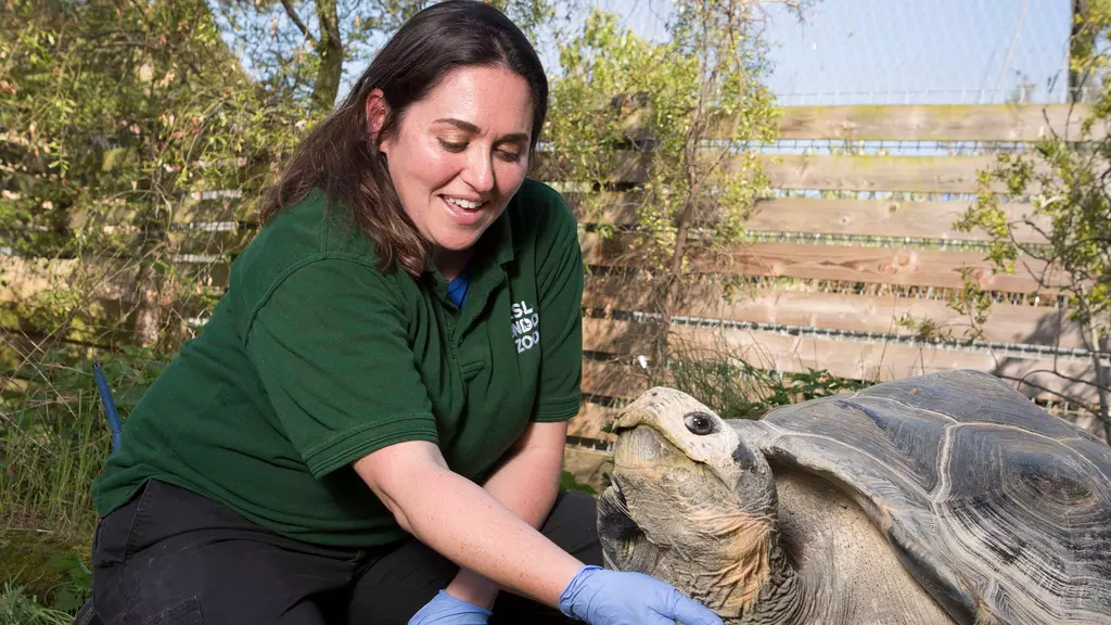 Science and conservation unite for tigers | ZSL