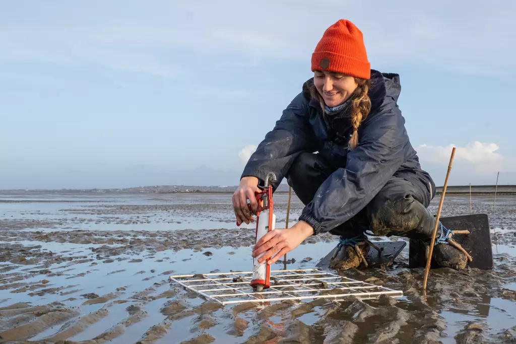 Planting a healthier ocean | The Zoological Society of London