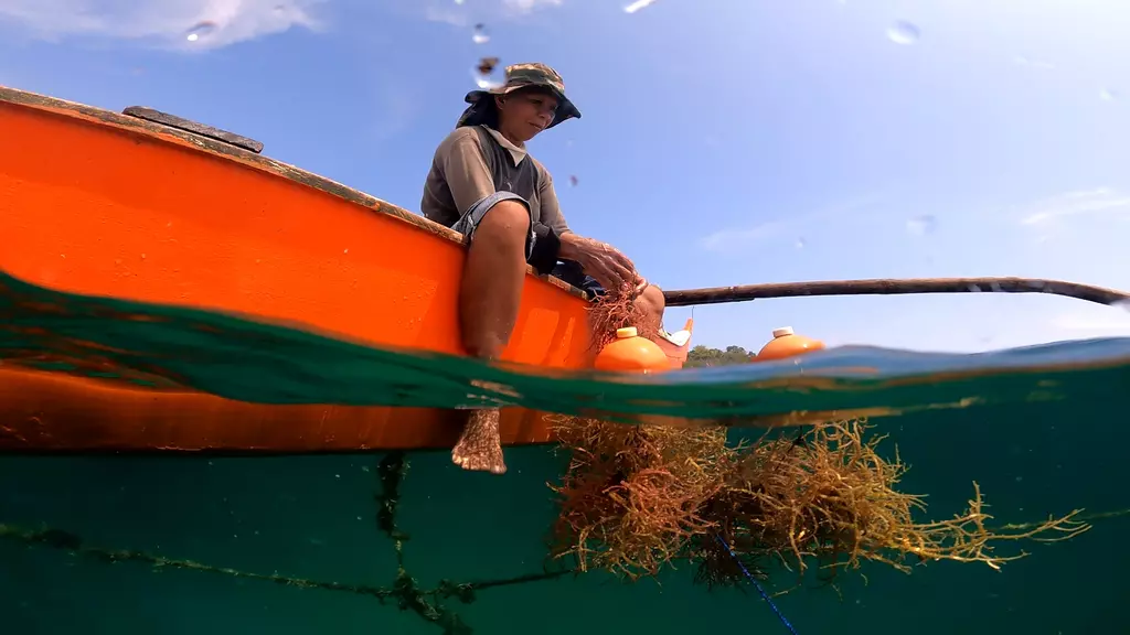Empowering communities to protect coastal wildlife | The Zoological ...