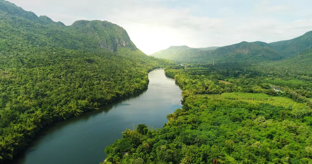 Aligning the nature and climate agendas | The Zoological Society of London
