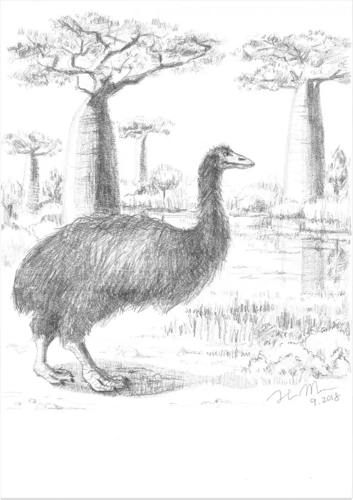 ZSL's described animals | The Zoological Society of London