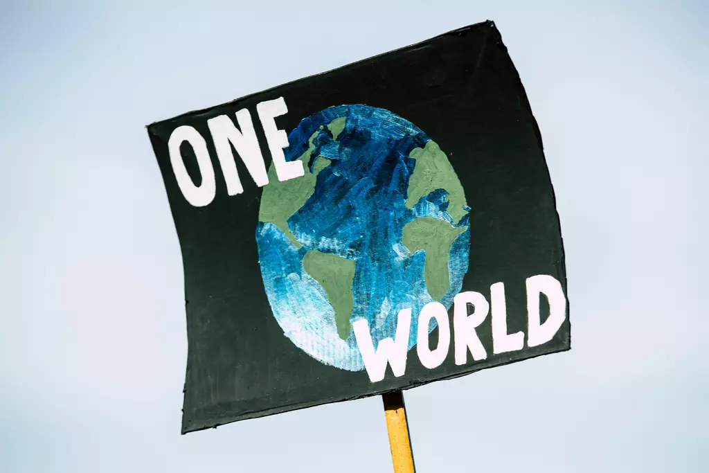 Unite climate and nature policies to prevent costly clashes and protect ...