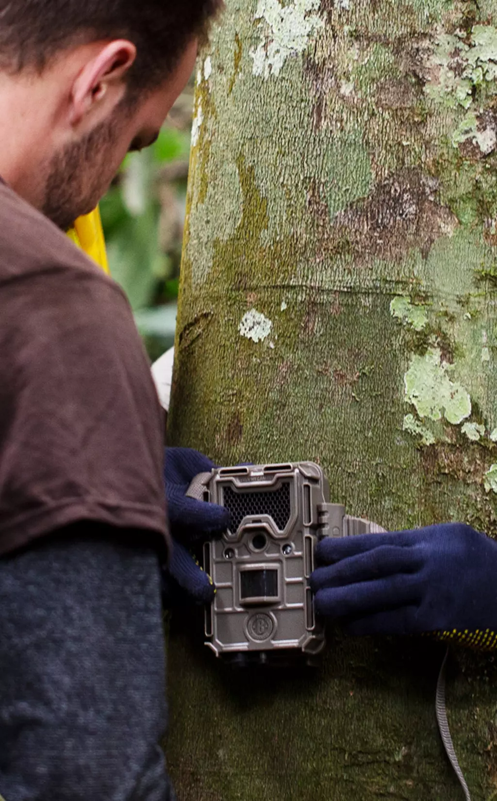 Conservation in Africa | ZSL