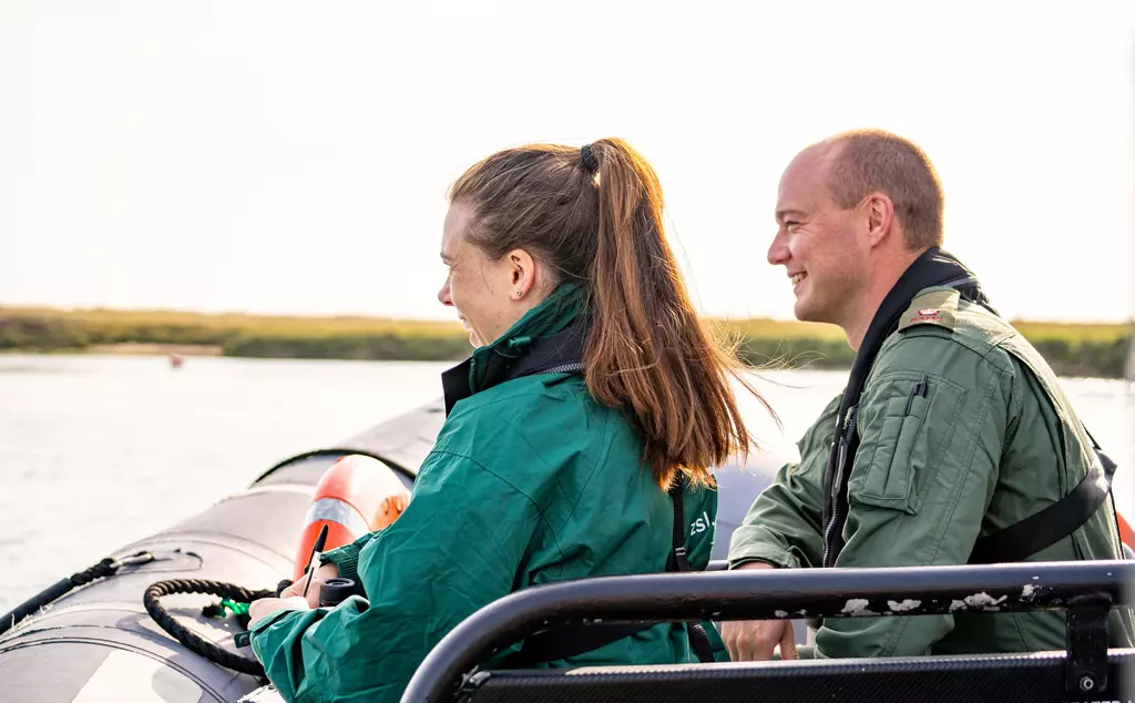 Conservationists take to sea and air to check wellbeing of Thames seals ...