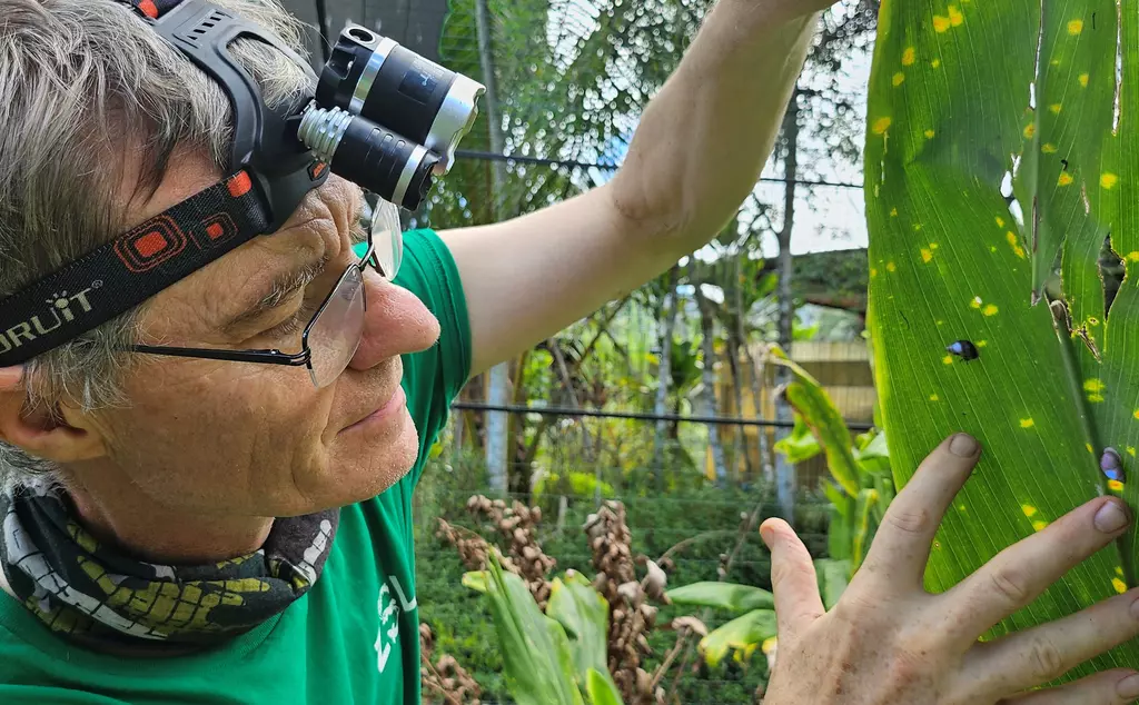 Extinct-in-the-Wild Partula snail species returned to the wild | ZSL