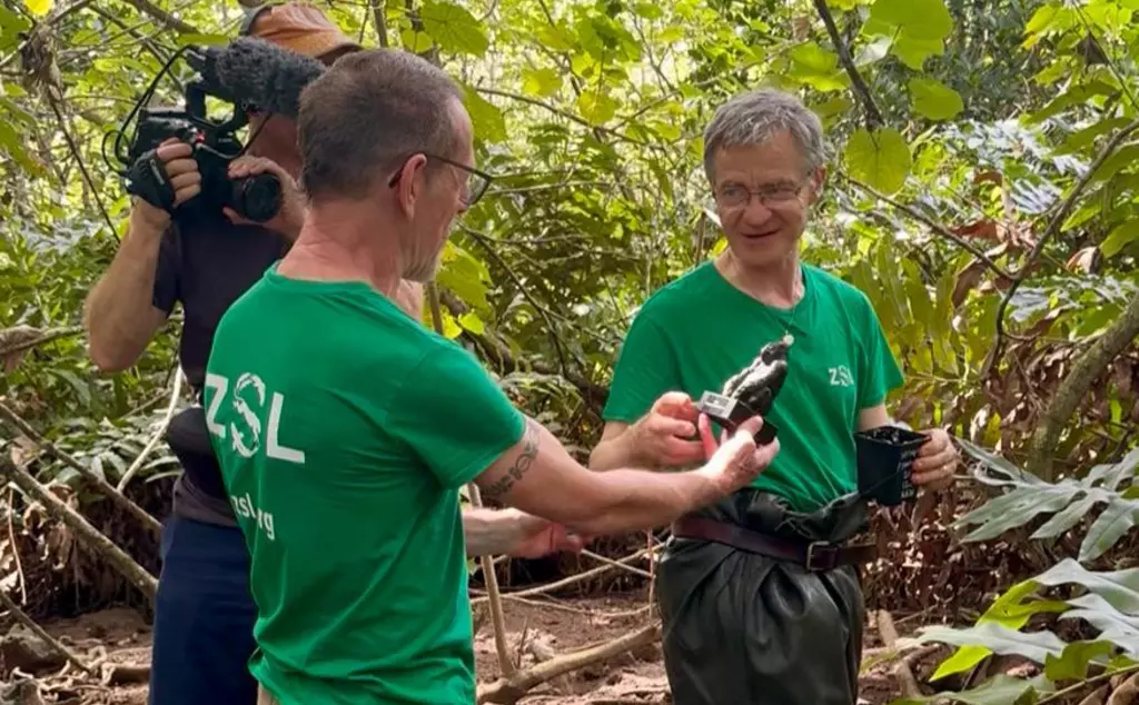 Saving snails from the brink of extinction | ZSL’s Amphibian Rescue Mission