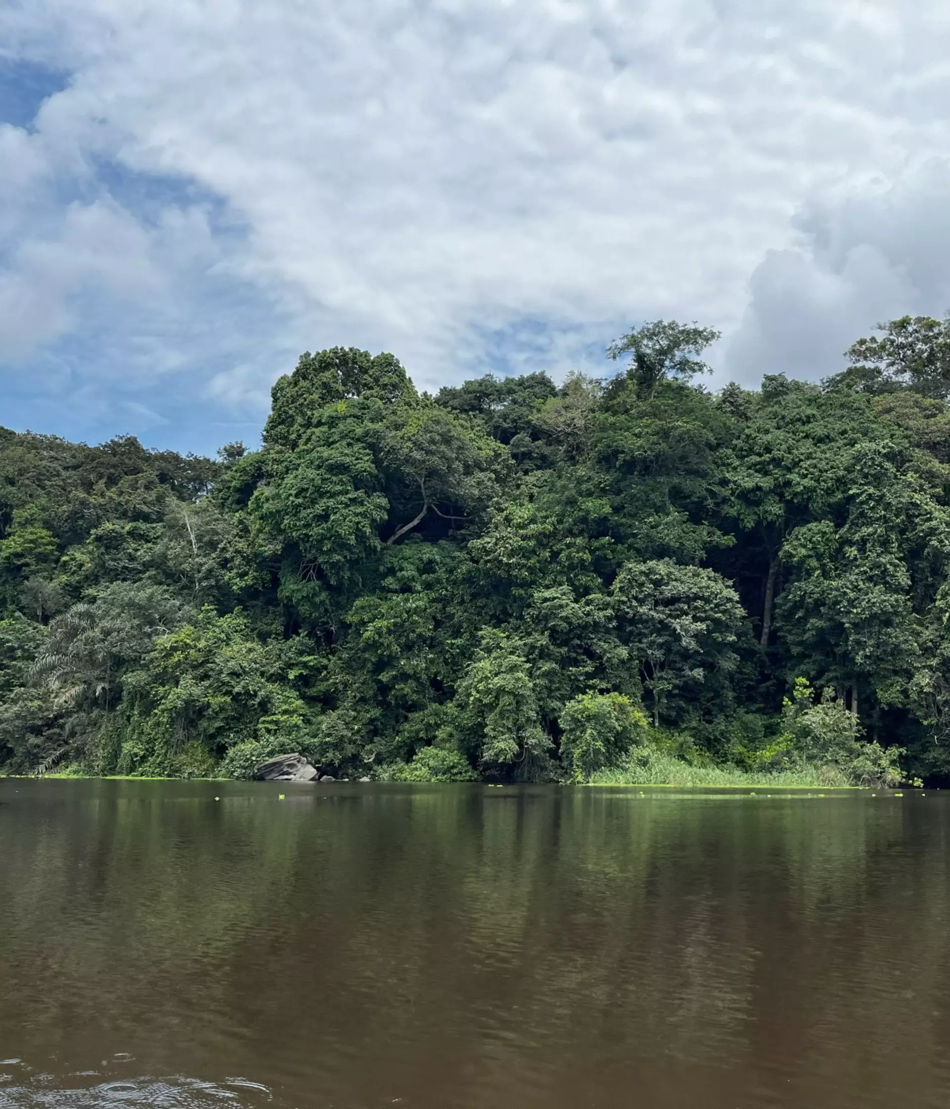 Community-led Climate Action in the Western Congo Basin Landscape | The ...