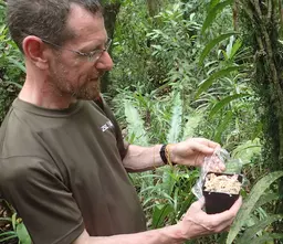 Partula snail conservation | ZSL