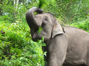 Wildlife conservation | ZSL