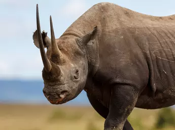 ZSL | A science-driven conservation charity