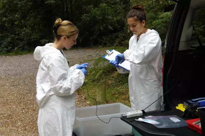 Red kite conservation | ZSL