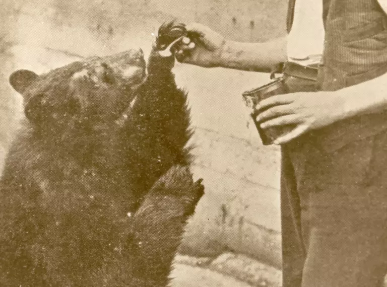Pop Culture | The Zoological Society of London
